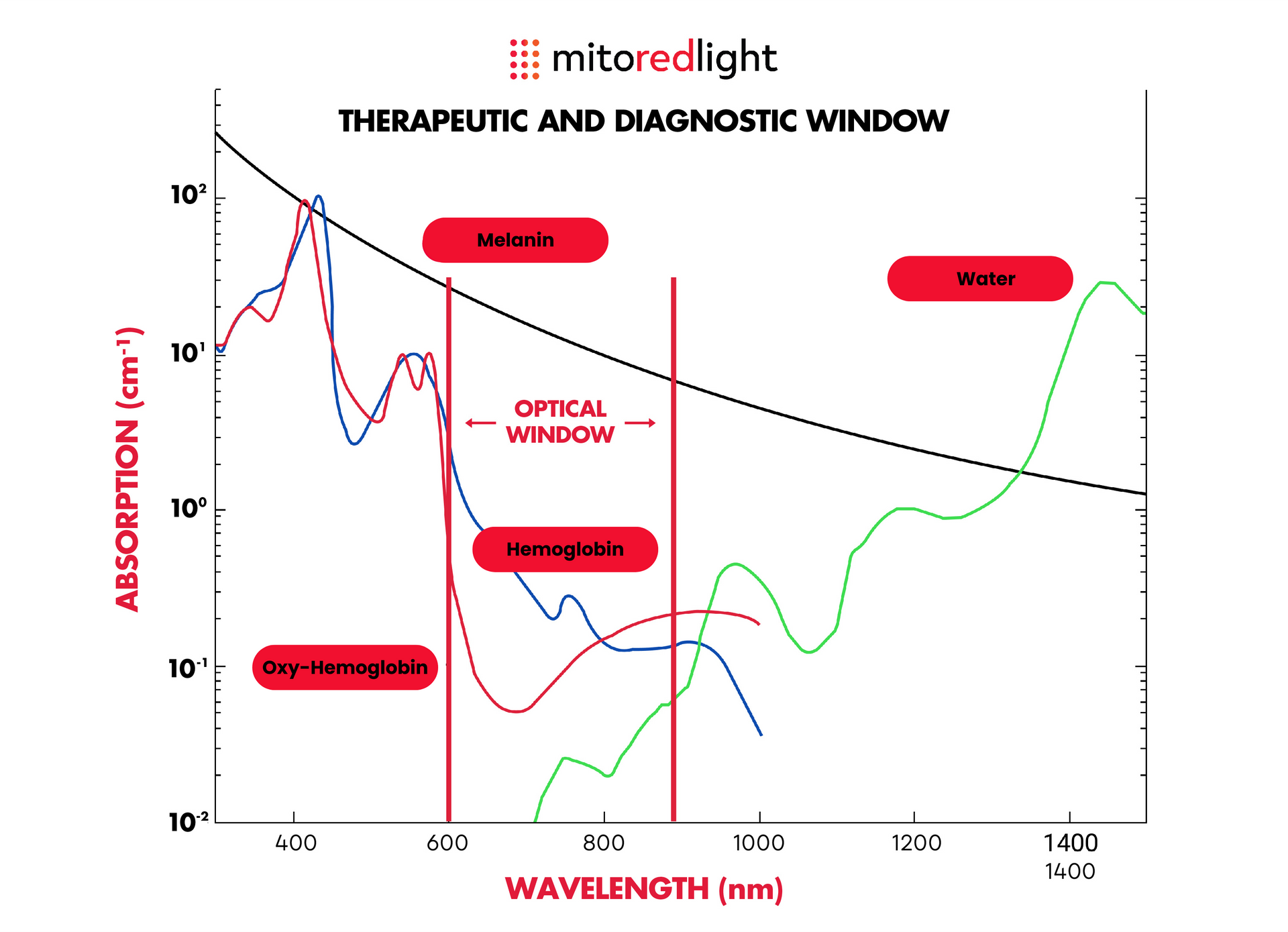 How Does Red Light Therapy Work? | Learn the Science – Mito Red Light